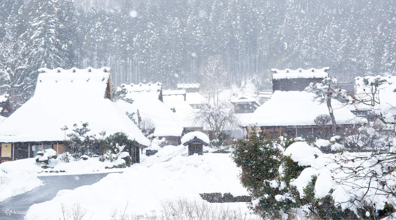 Miyama Thatched Roof Village, Ine Bay, and Amanohashidate One Day Bus ...