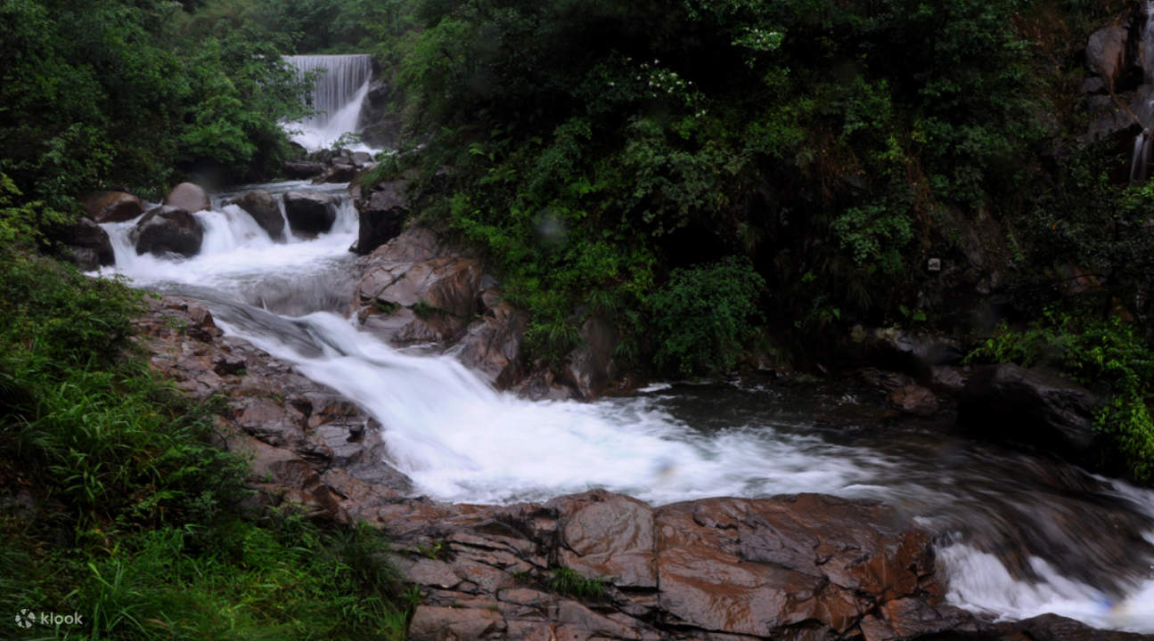 Daqishan National Forest Park Ticket in Tonglu - Klook United States