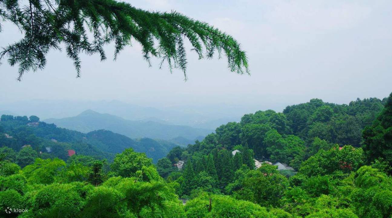 Mount Mogan Private Hiking Day Tour with Transfers from Hangzhou - Klook