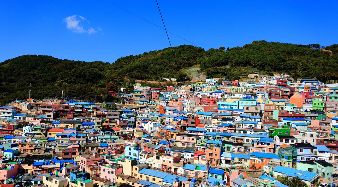 West Busan Half Day/Day Tour - Klook United States
