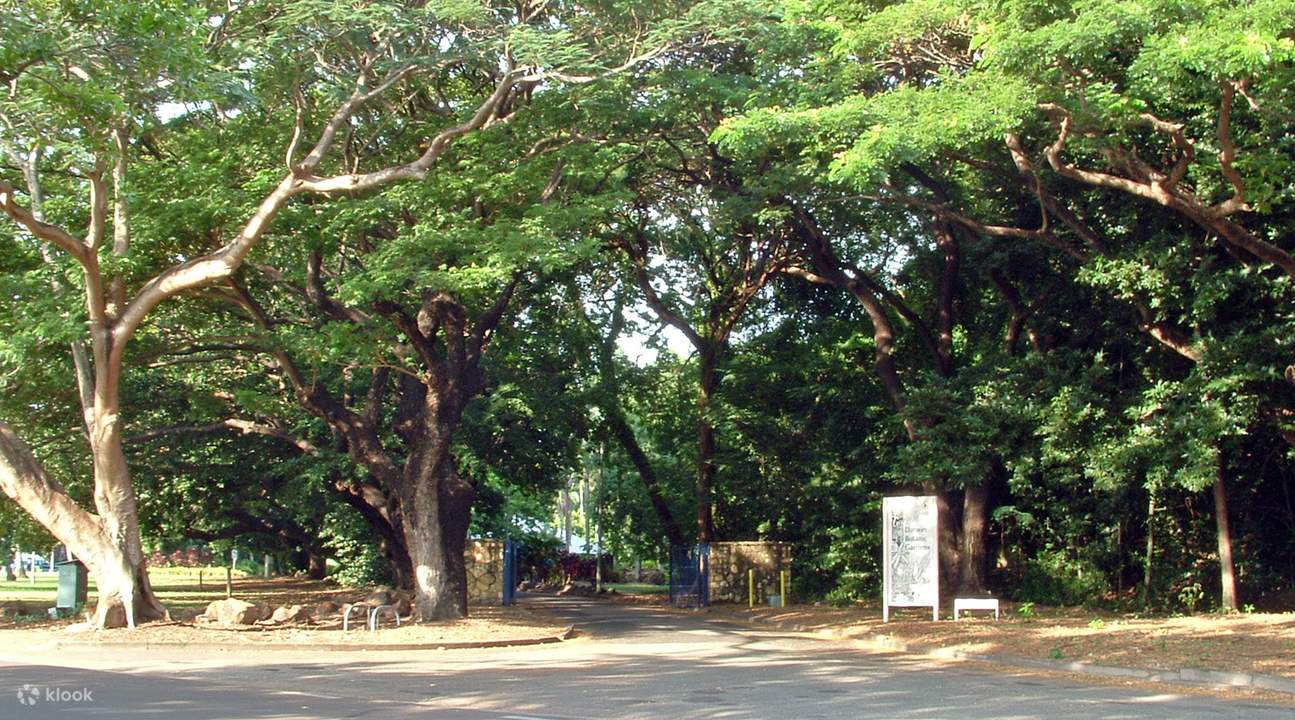 Darwin City Sights Half Day Tour - Klook