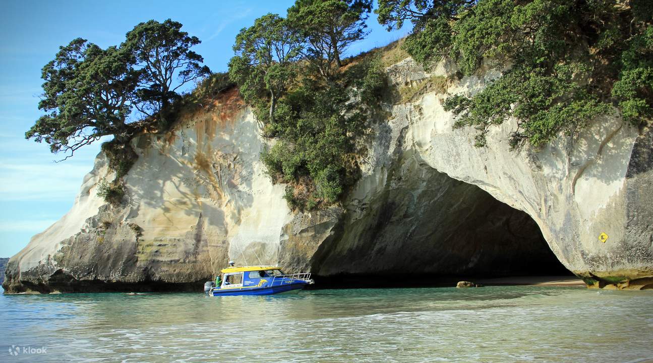Akaroa Harbour Nature Cruise - Klook