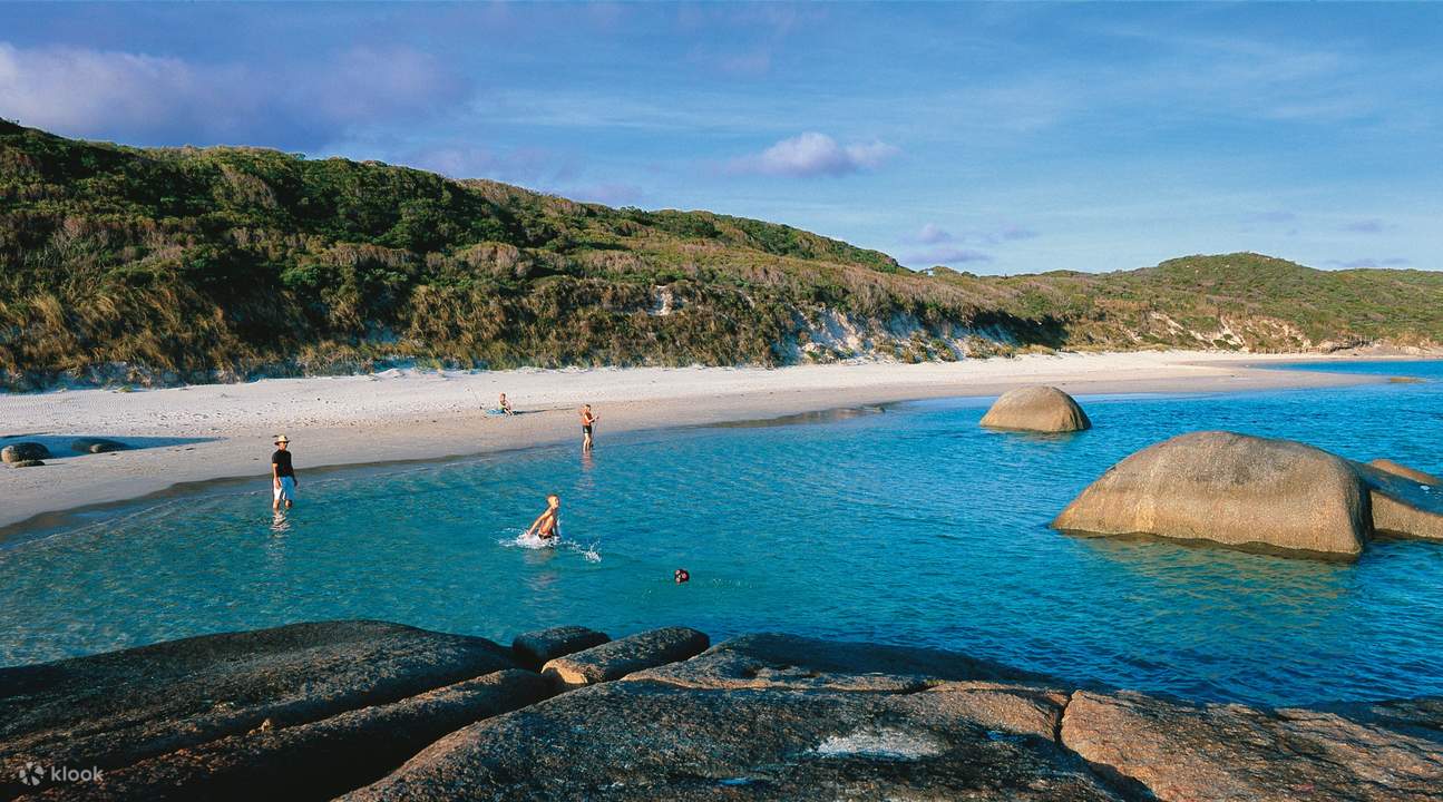 4 Day Albany, ANZAC Tree Top Walk & Margaret River Tour - Klook