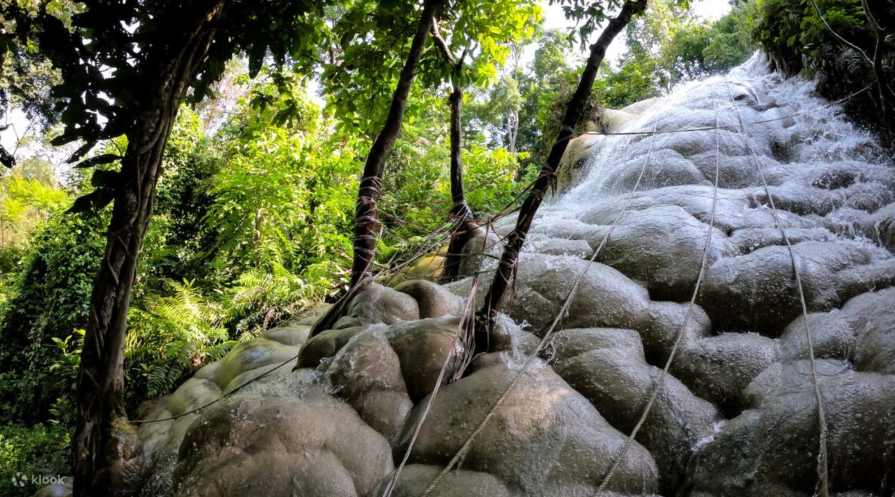 Chiang Mai Sticky Waterfalls Bike Tour - Klook