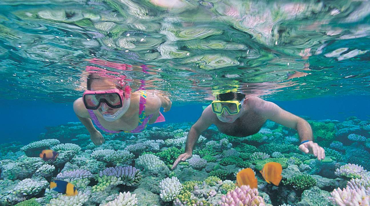 Outer Barrier Reef from Port Douglas - Klook