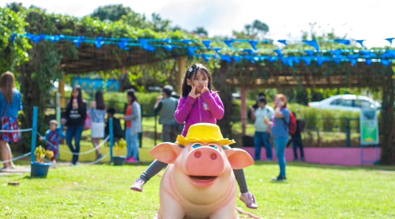 Paradizoo Admission Ticket in Tagaytay, Philippines - Klook Philippines