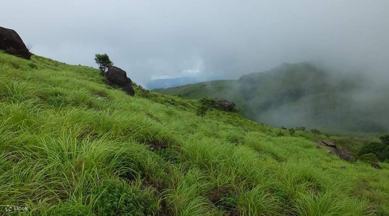 Trek To The Highest Peak Of Coorg - Tadiyandamol - Klook