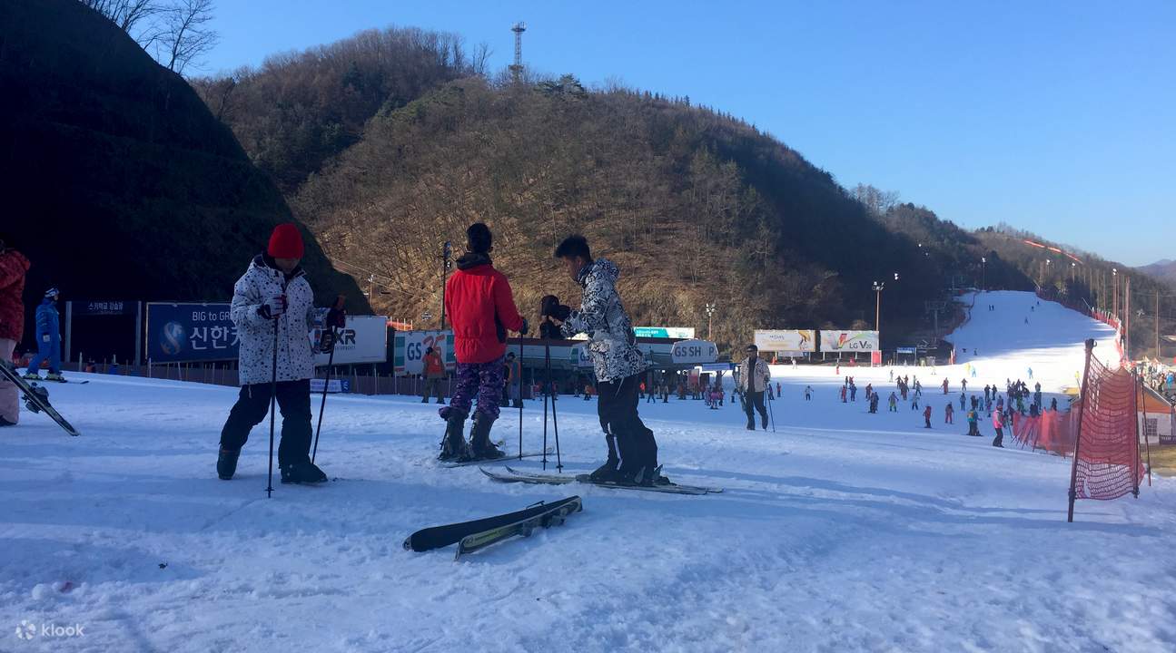 Gangwon-Do Nami Island and Elysian Gangchon Ski Resort Day Tour - Klook