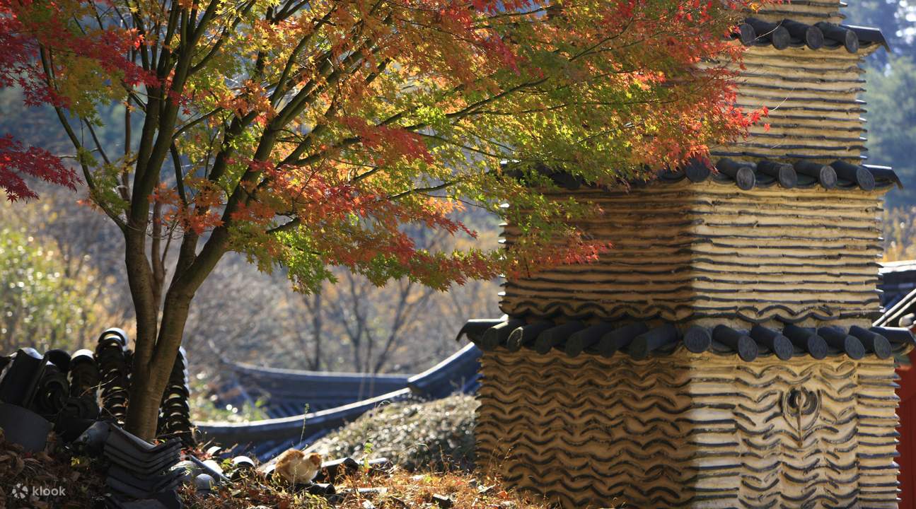 Mount Jiri Scenic Autumn Day Tour from Busan - Klook