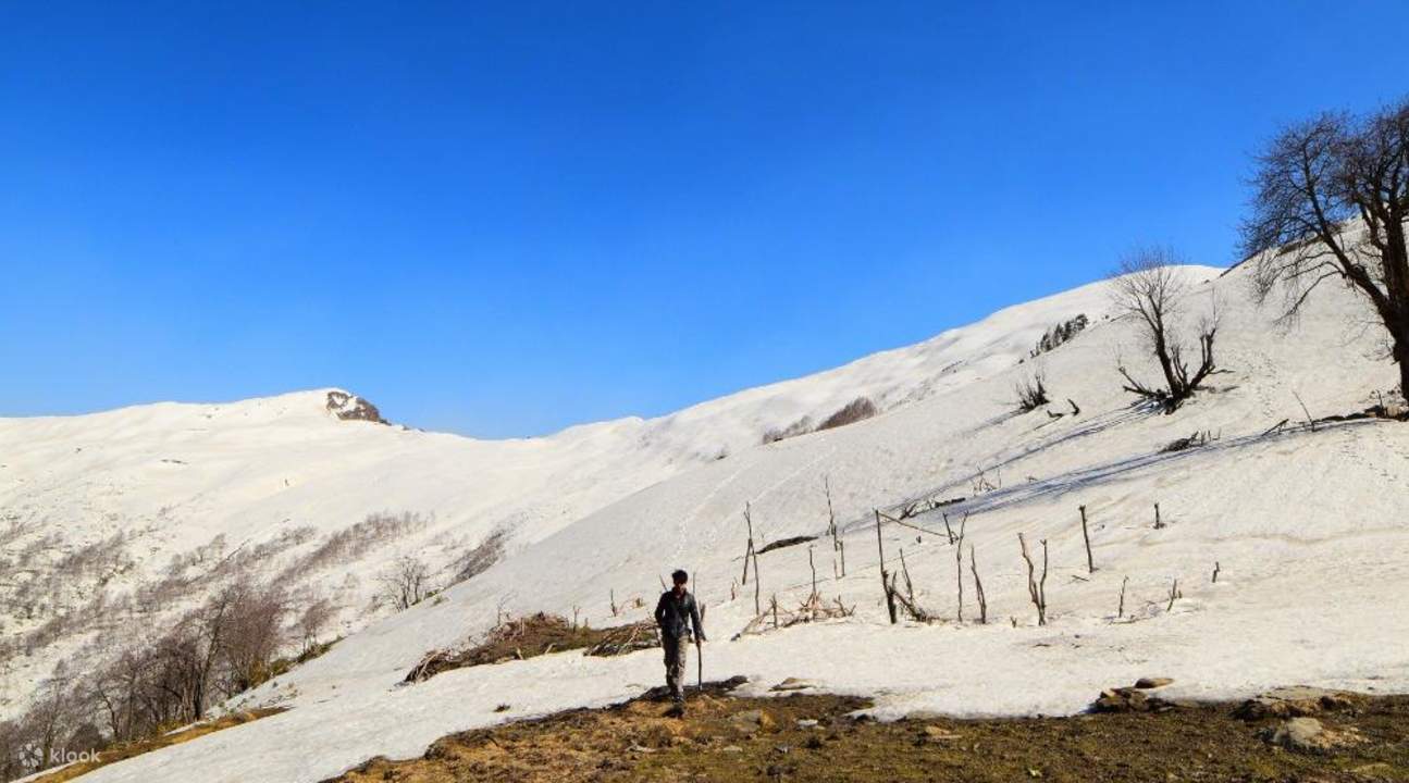 3D2N Chandrakhani Pass Trek in Himachal Pradesh - Klook New Zealand