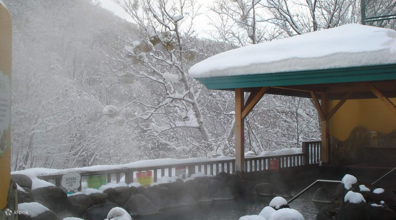 Private Sightseeing Charter Trip for Otaru from Sapporo with Onsen ...