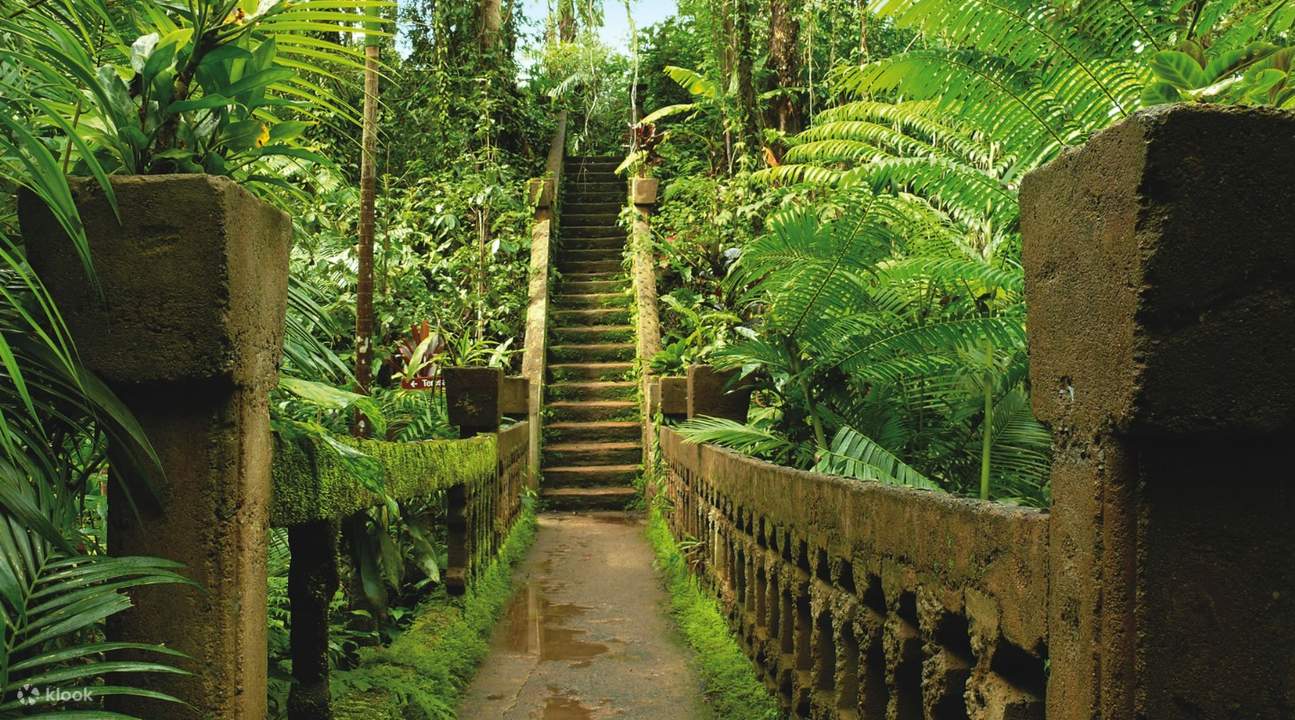 Paronella Park Admission Ticket from Cairns - Klook Canada