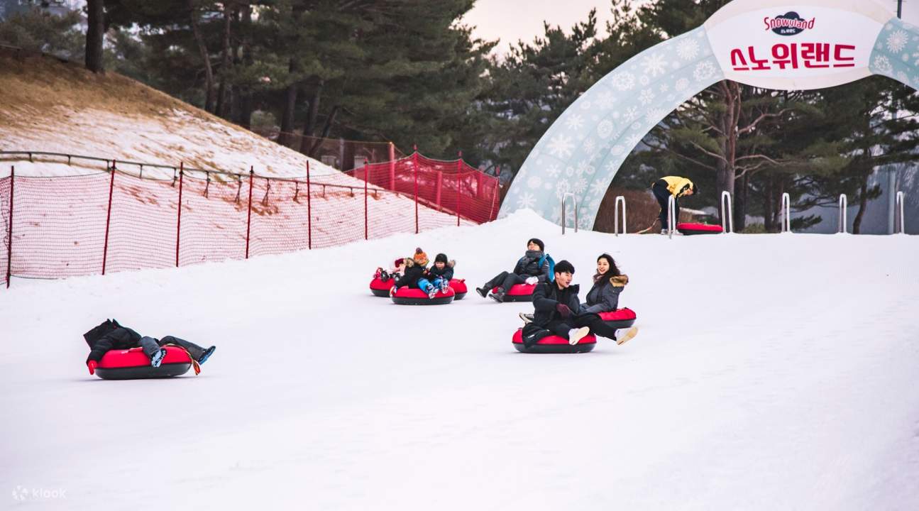 Vivaldi Park Snowy Land Day Trip from Seoul - Klook United States