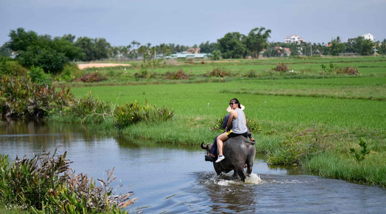 Tour della foresta di cocco in barca a canestro a Hoi An, Vietnam ...