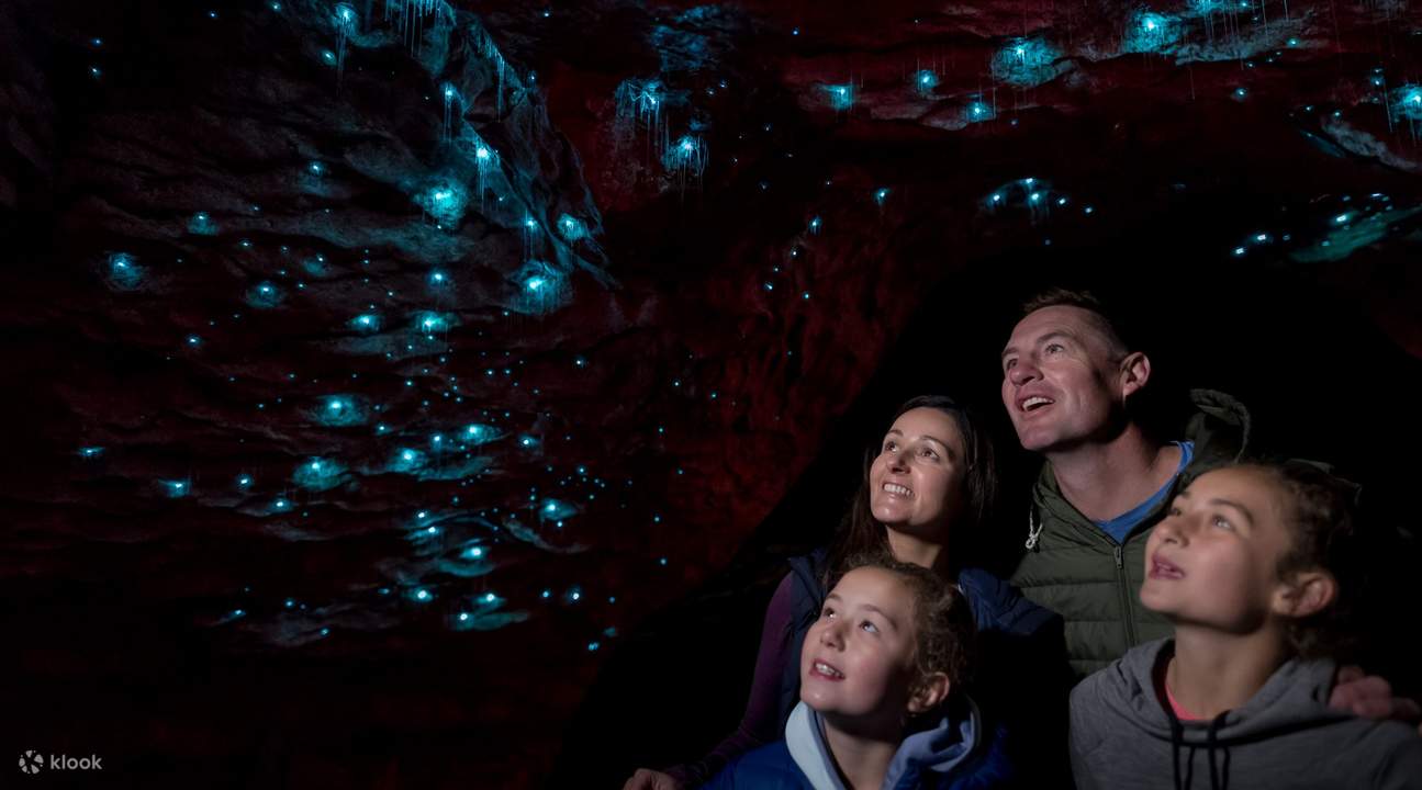 Te Anau Glowworm Caves Tour in Queenstown - Klook