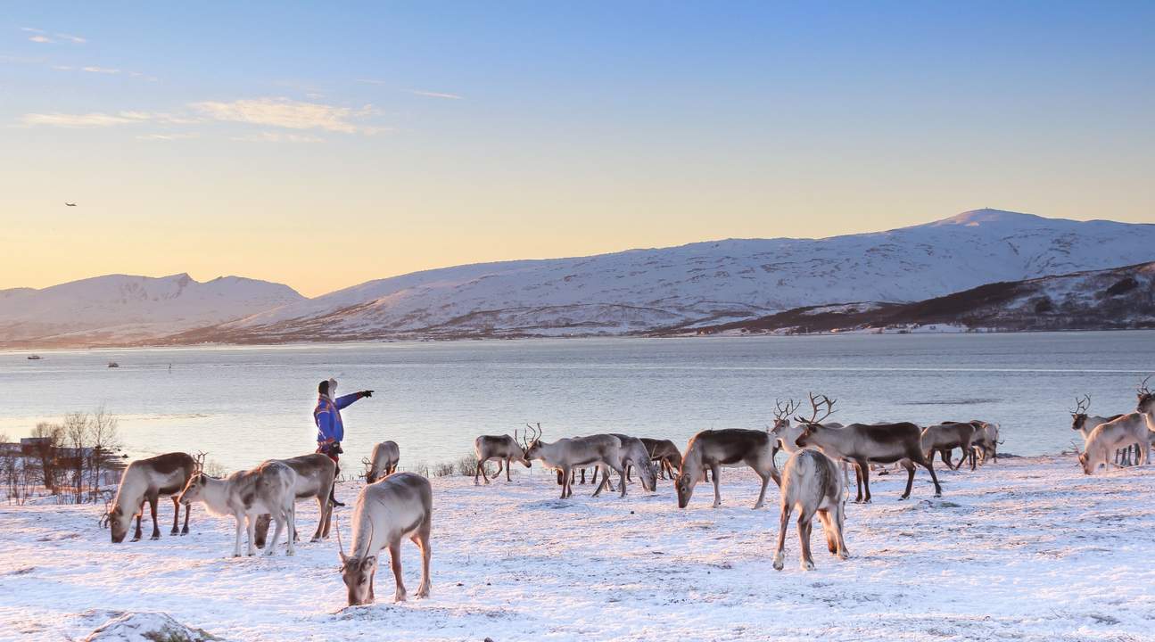 Sami Culture Experience with Reindeer Sledding in Tromso - Klook Sami Culture Experience with Reindeer Sledding in Tromso - Klook