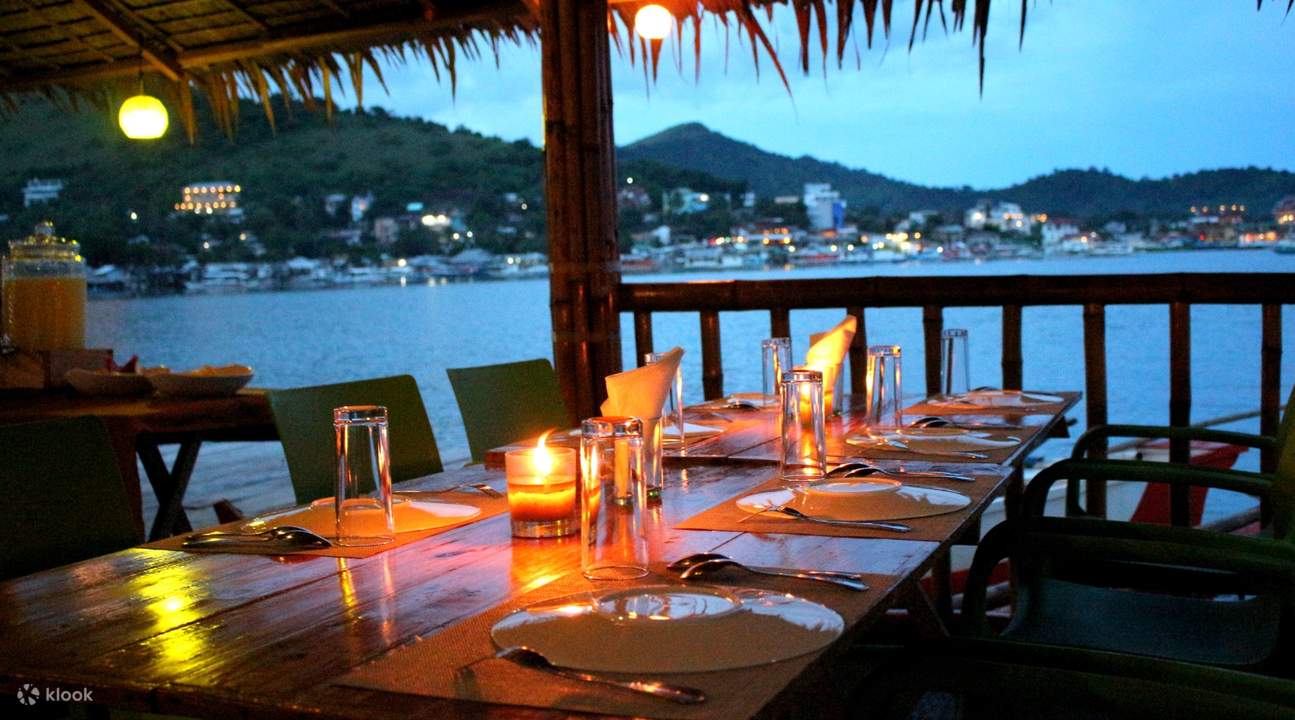 Coron Glittering Fireflies and Bioluminescence Night Tour - Klook ...