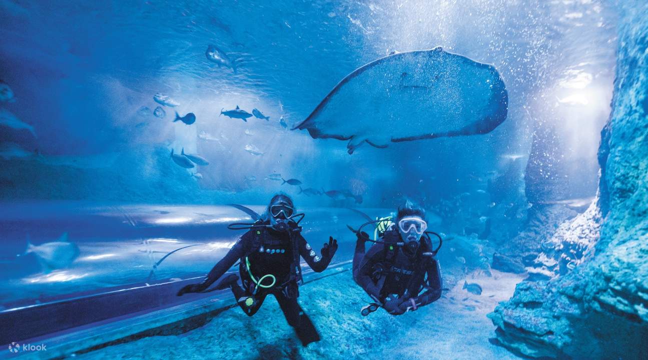 AQWA Aquarium Of Western Australia Entry Tickets - Klook