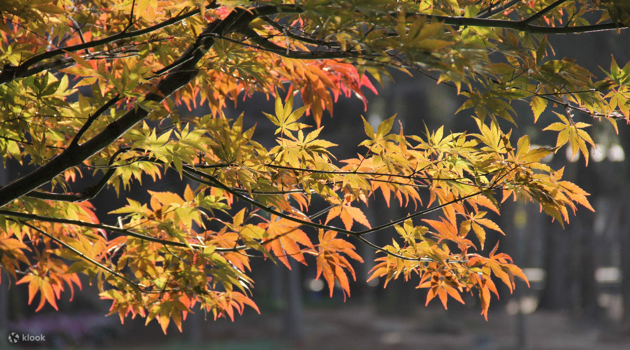 Tianping Mountain Ticket in Suzhou - Klook Estados Unidos