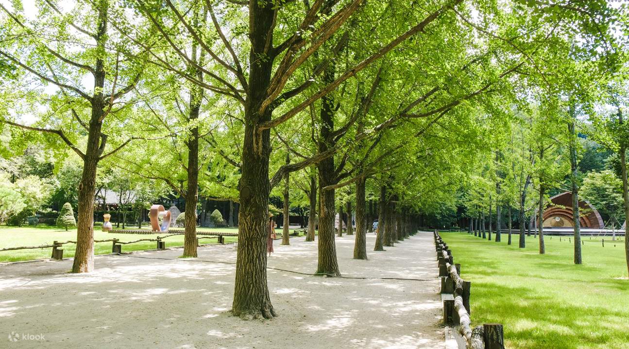 [Klook Exclusive] Nami Island ALL PASS from Seoul, South Korea - Klook