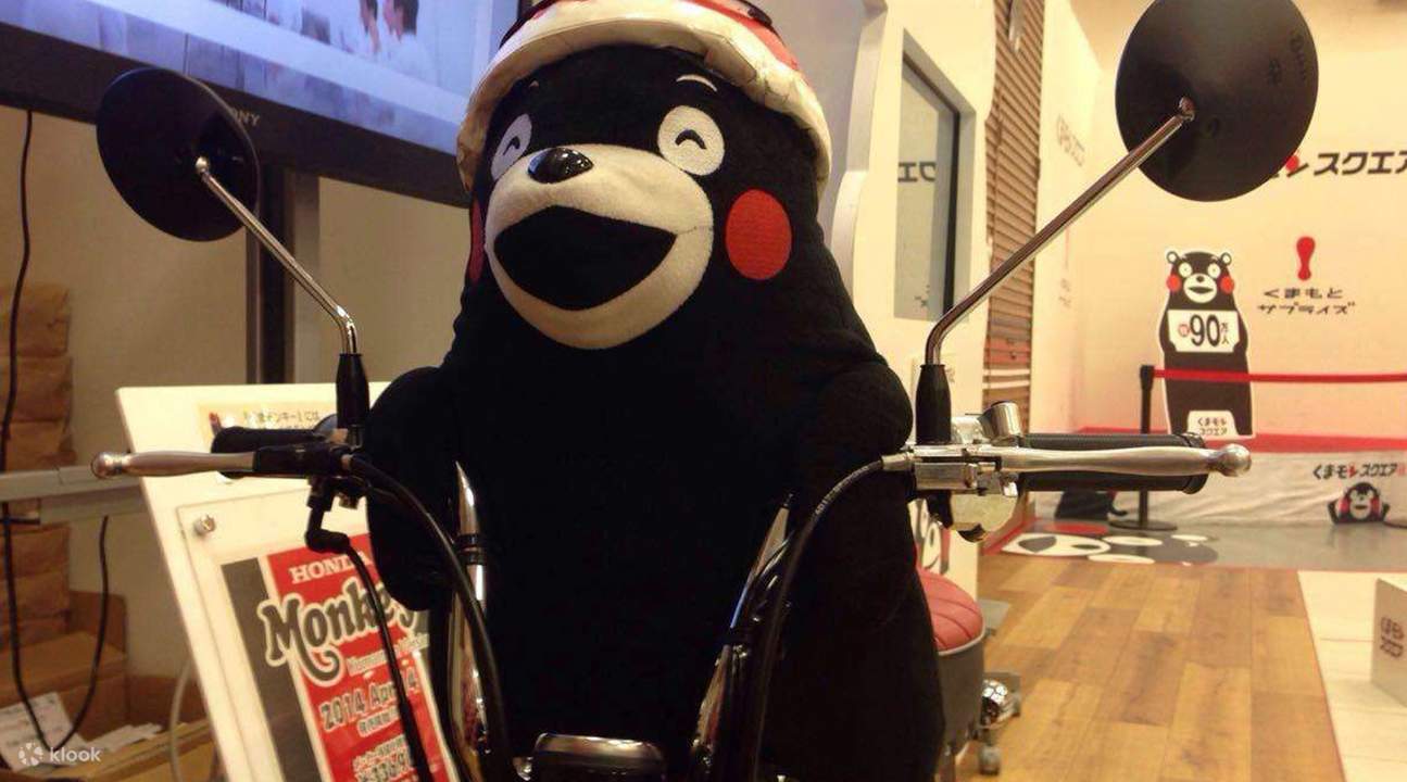 Kumamoto Castle, Mount Aso and Kumamon Square Private Day Tour ...