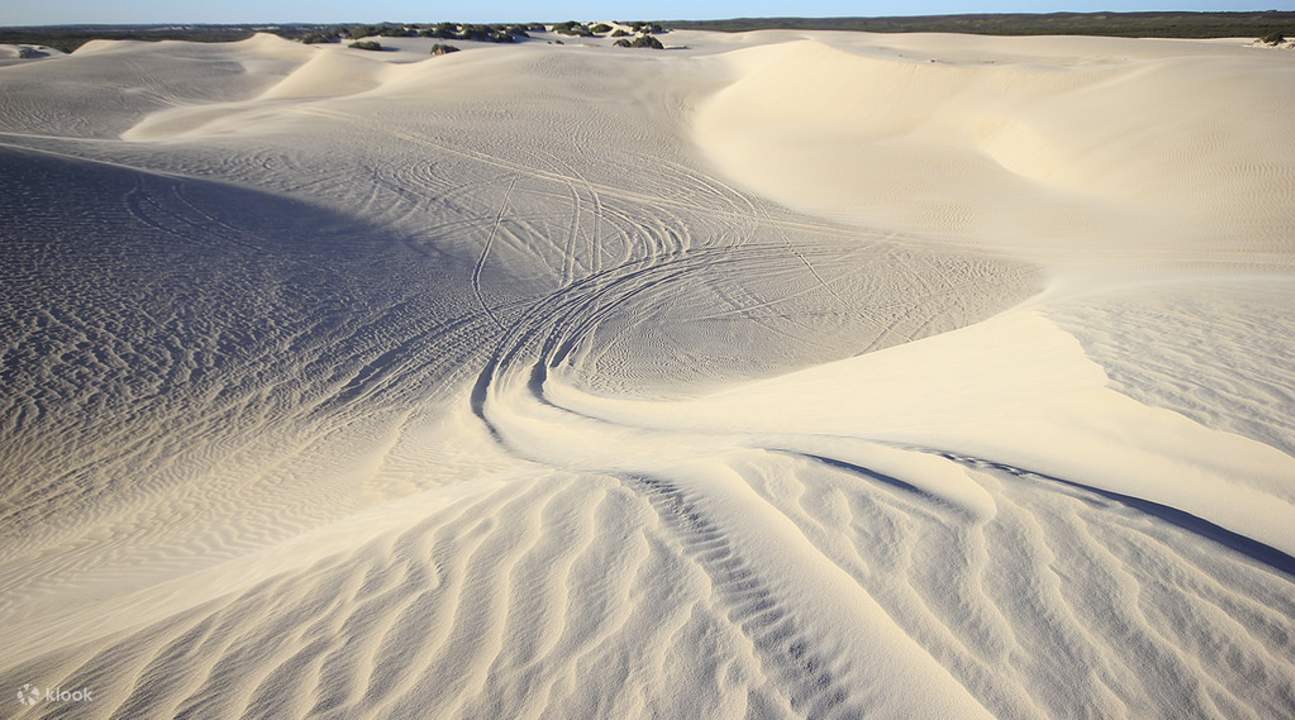 Excursión de día completo a Pinnacle Desert Explorer con Lancelin ...