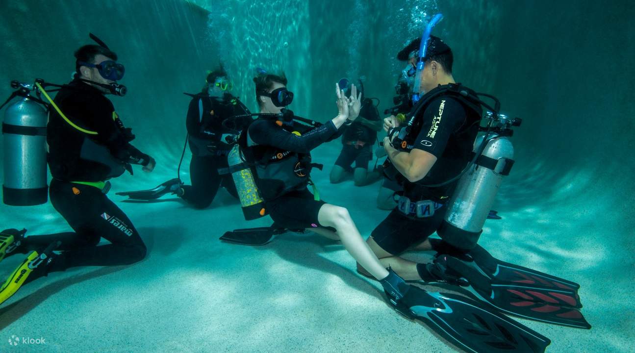 PADI 4-Day Intro to Scuba Diving Course - Cairns, Australia - Klook United Kingdom