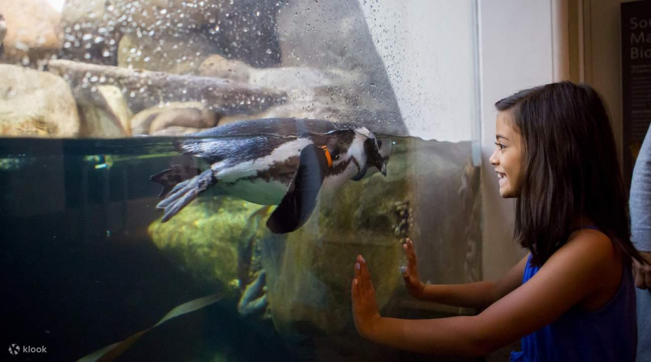 California Academy of Sciences Admission Ticket San Francisco - Klook ...