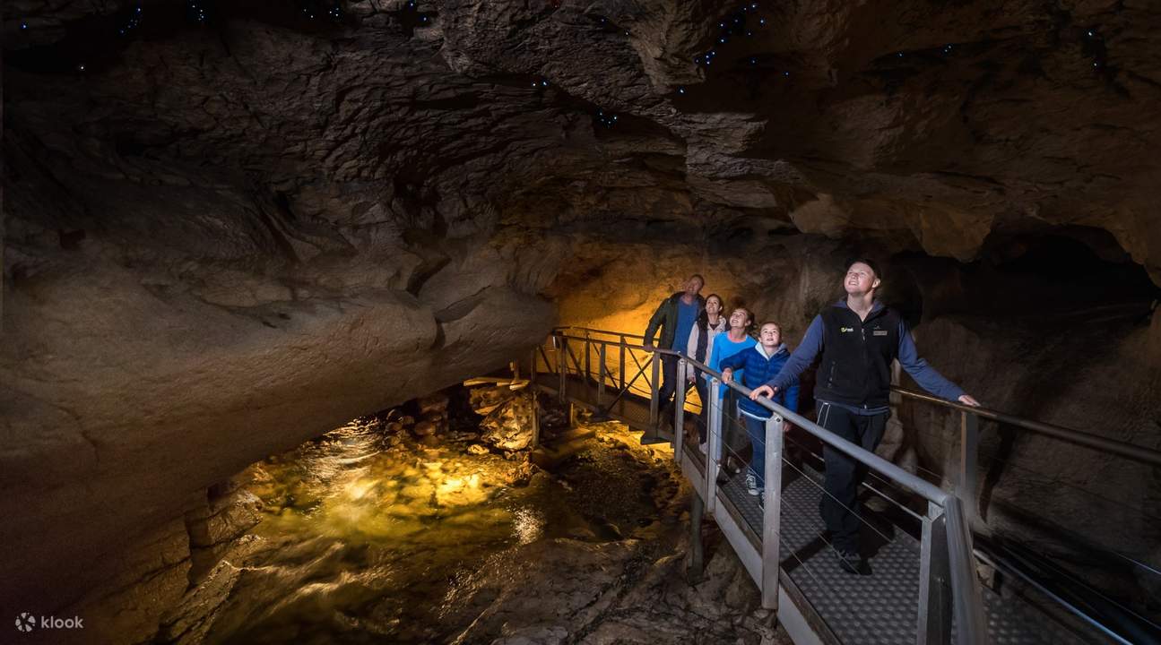 Te Anau Glowworm Caves Tour in Queenstown - Klook, Vereinigte Staaten