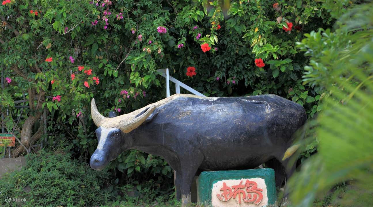 Explore Yaeyama Islands in This Iriomote Island and Yubu Island Day ...