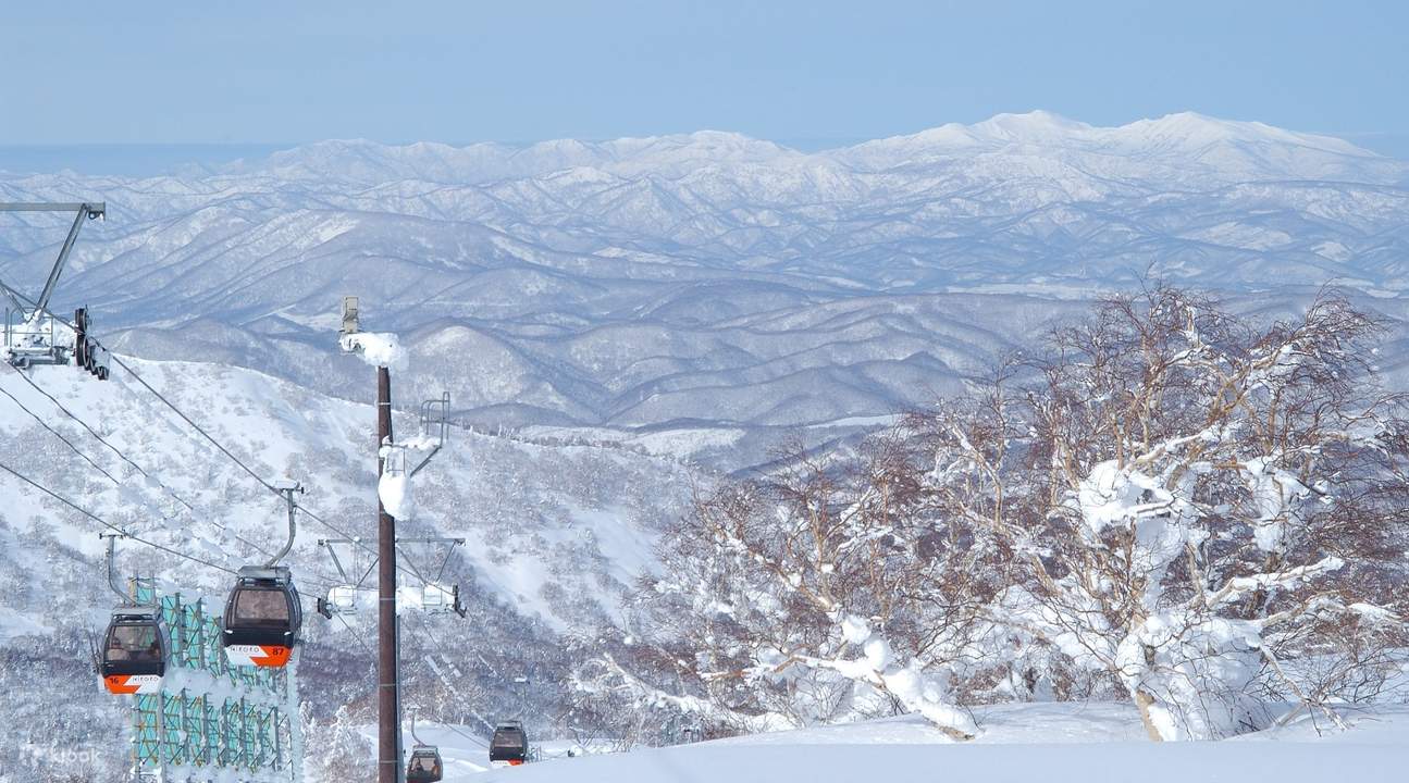 Shared One Way Bus Transfer Between Sapporo or New Chitose Airport (CTS ...