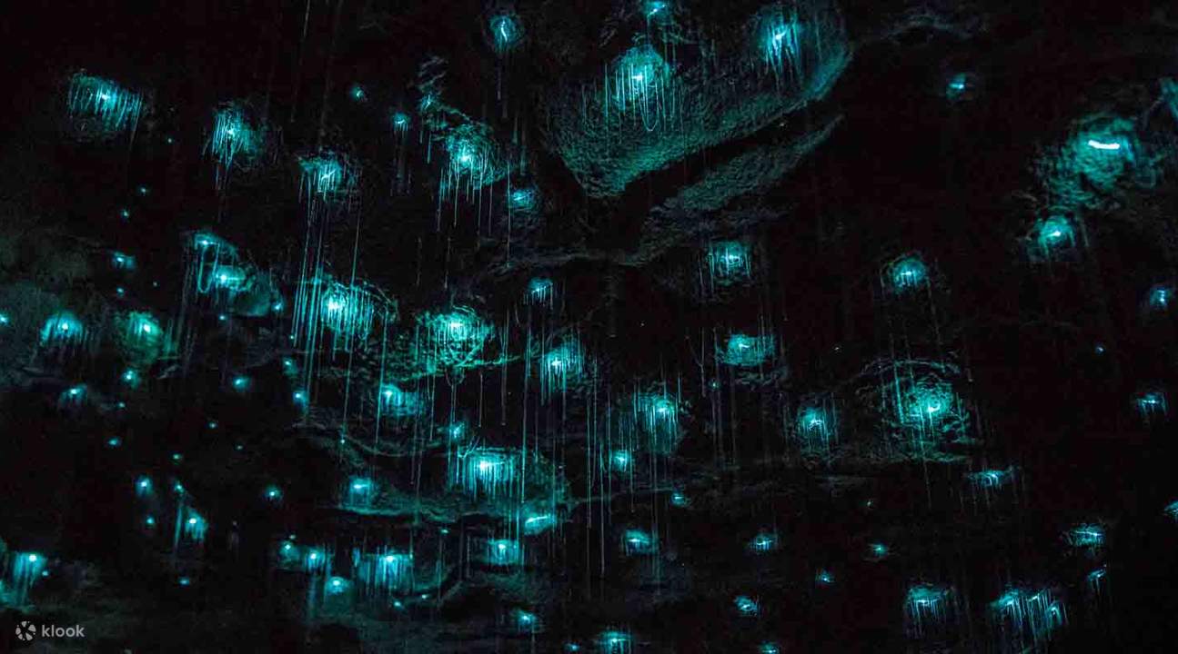 Hobbiton & Waitomo Glowworm Caves Tour met ophaalservice bij hotels in ...