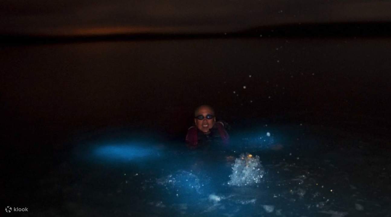 Koh Rong Samloen Snorkeling with Bioluminescent Plankton from ...