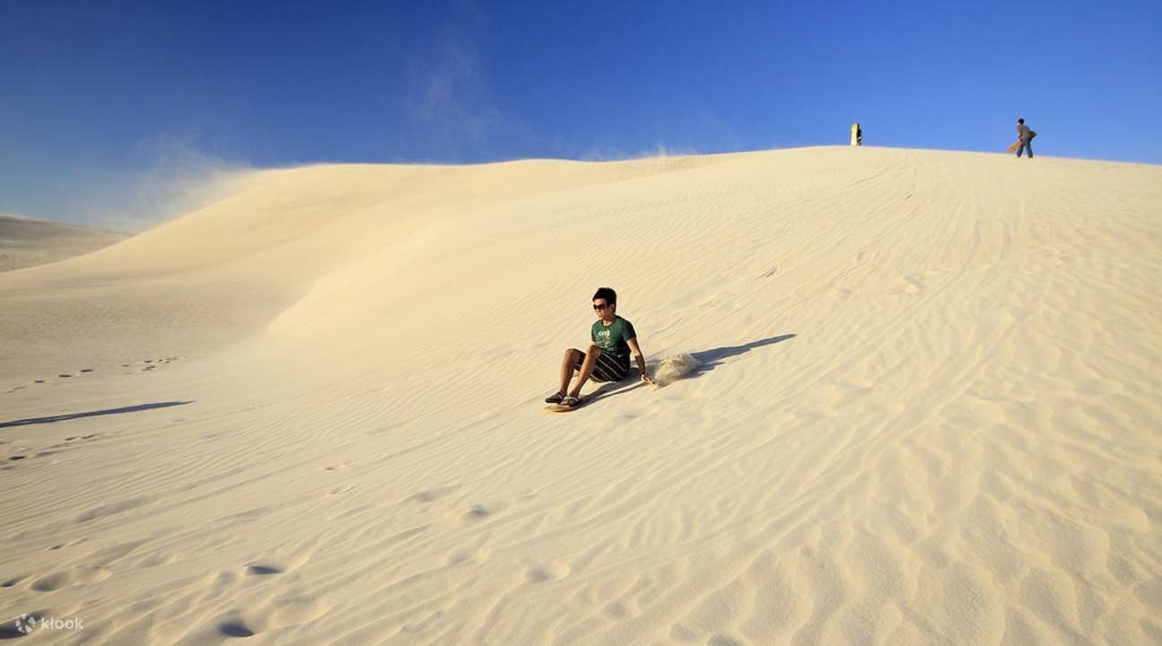 Pinnacle Desert Explorer with Lancelin Sandboarding Full Day Tour ...