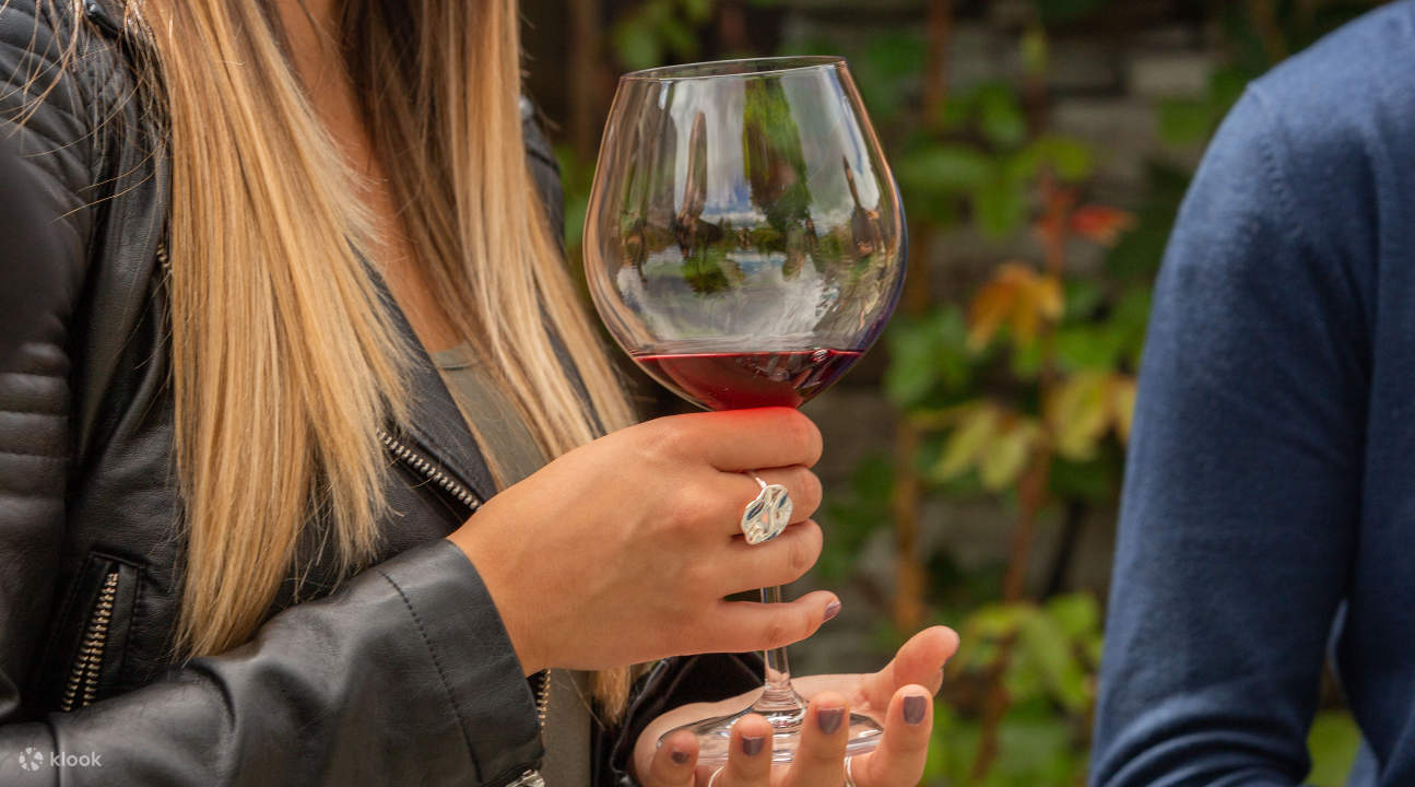 Wine Tasting Tour from Queenstown - Klook