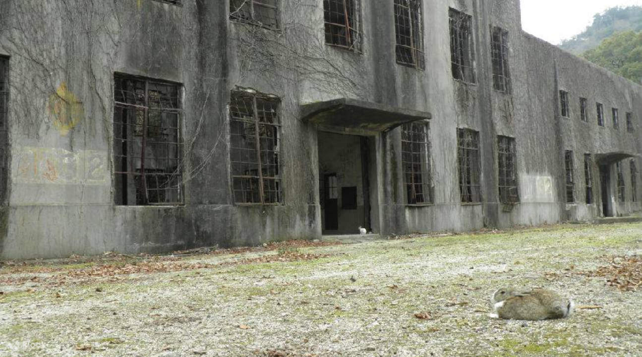 Okunoshima Rabbit Island Bus Trip in Hiroshima - Klook, Vereinigte Staaten