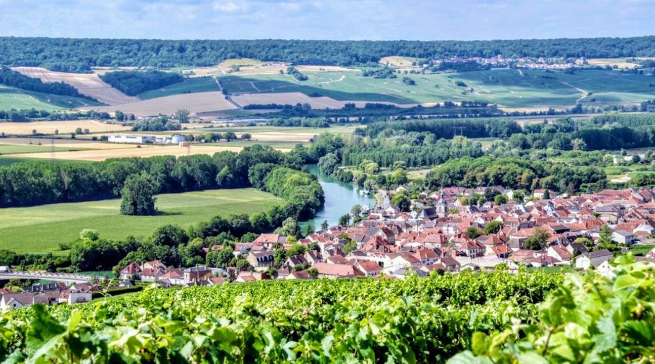 Premium Champagne Wine Tasting Day Tour from Paris with Lunch and Pick ...