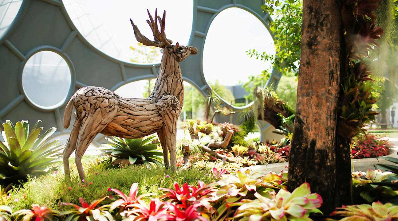 Flower Land Ticket in Pattaya (for Non-Asian Nationals) - Klook