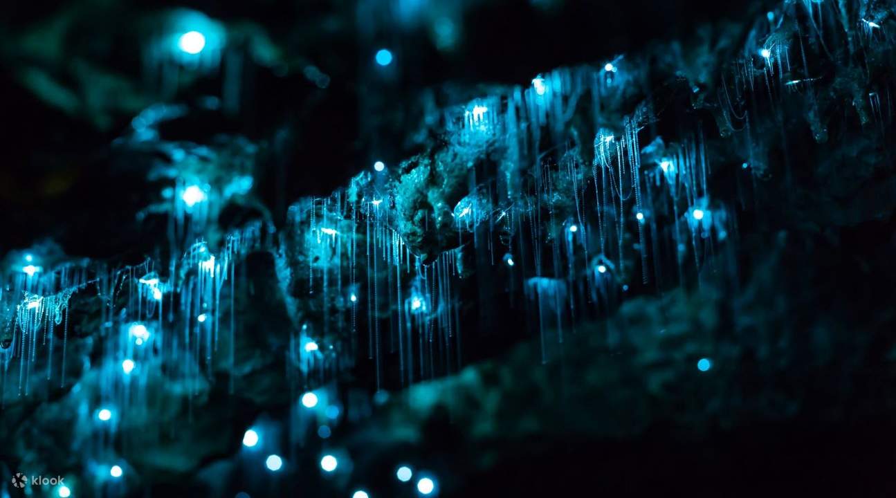 Hobbiton dan Waitomo Caves Open Trip Day Tour dari Auckland - Klook ...