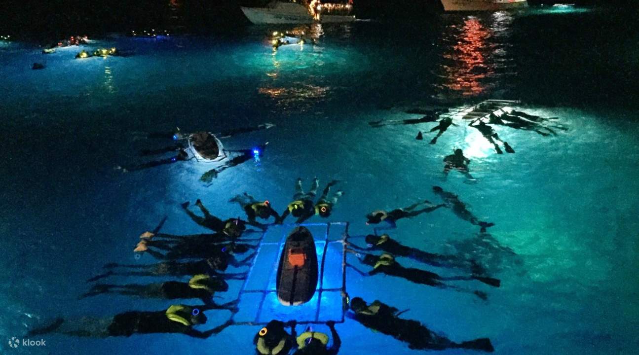 Manta Ray Night Dive in Hawaii - Klook