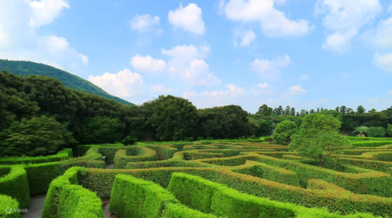 Maze Land in Jeju - Klook