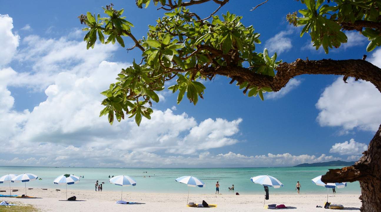 Taketomi Island Bicycle Rentals in Okinawa, Japan - Klook Estados Unidos
