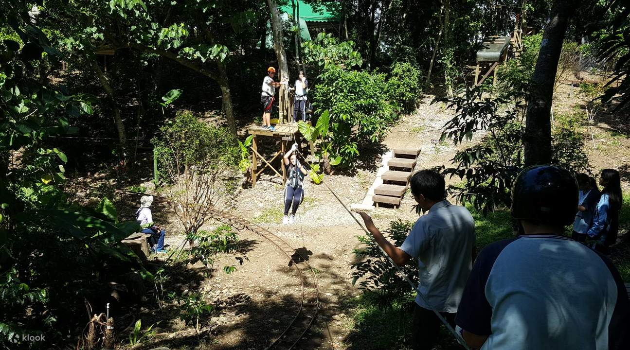 Wild Monkey Adventure Jungle Zipline Experience in Hualien - Klook