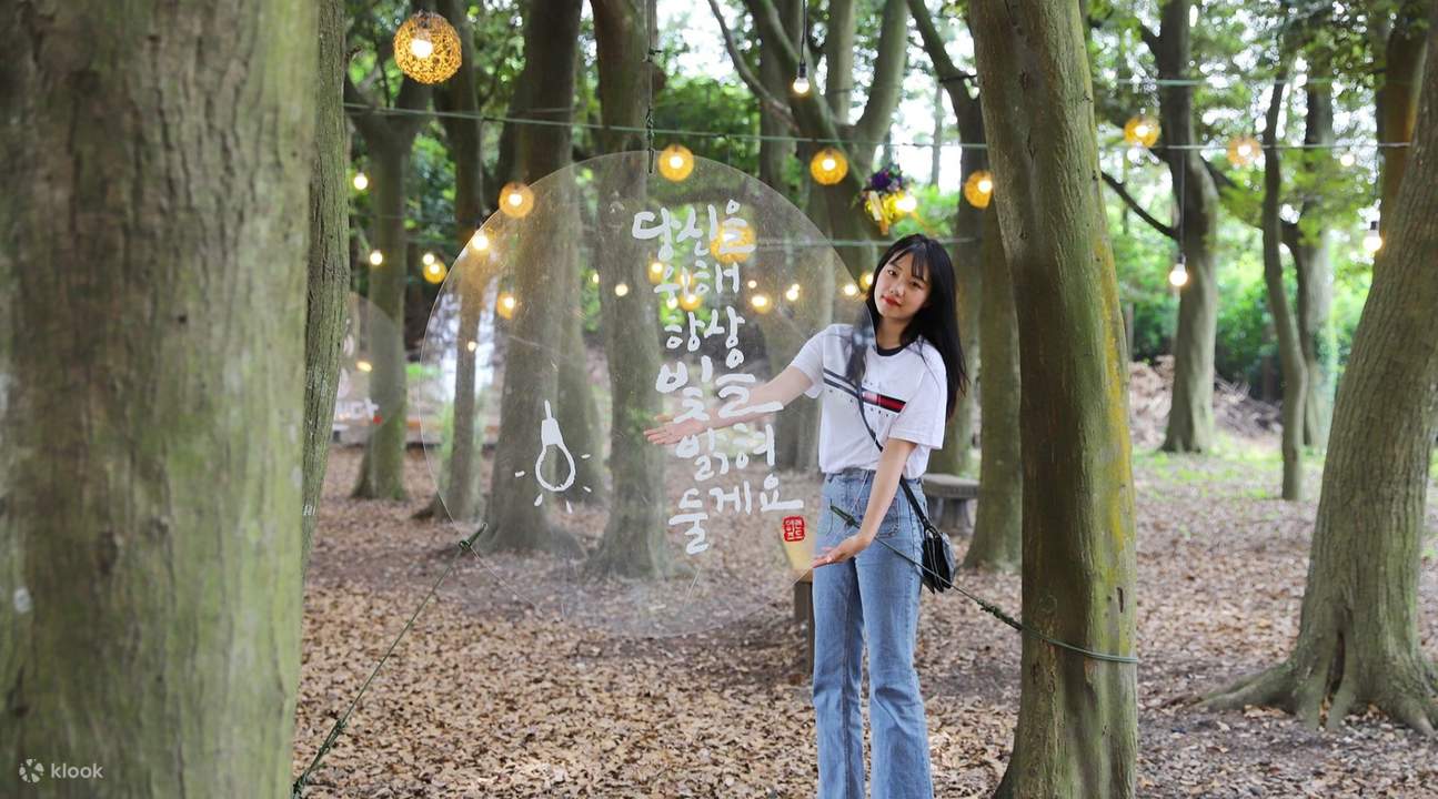 Maze Land in Jeju - Klook