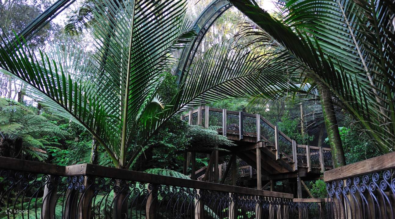 Auckland Zoo Admission Ticket in Auckland, New Zealand - Klook