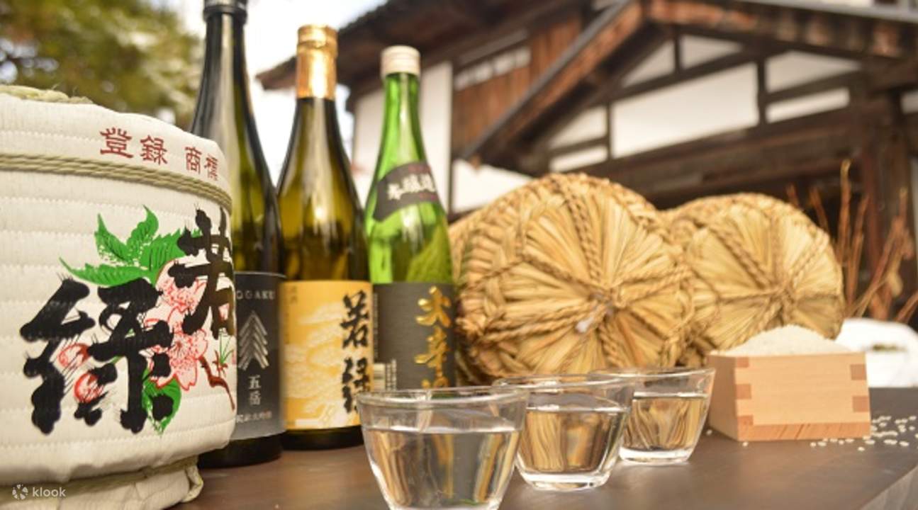 Nagano Snow Monkey Park and Zenko-ji Temple Day Tour with Sake Tasting ...