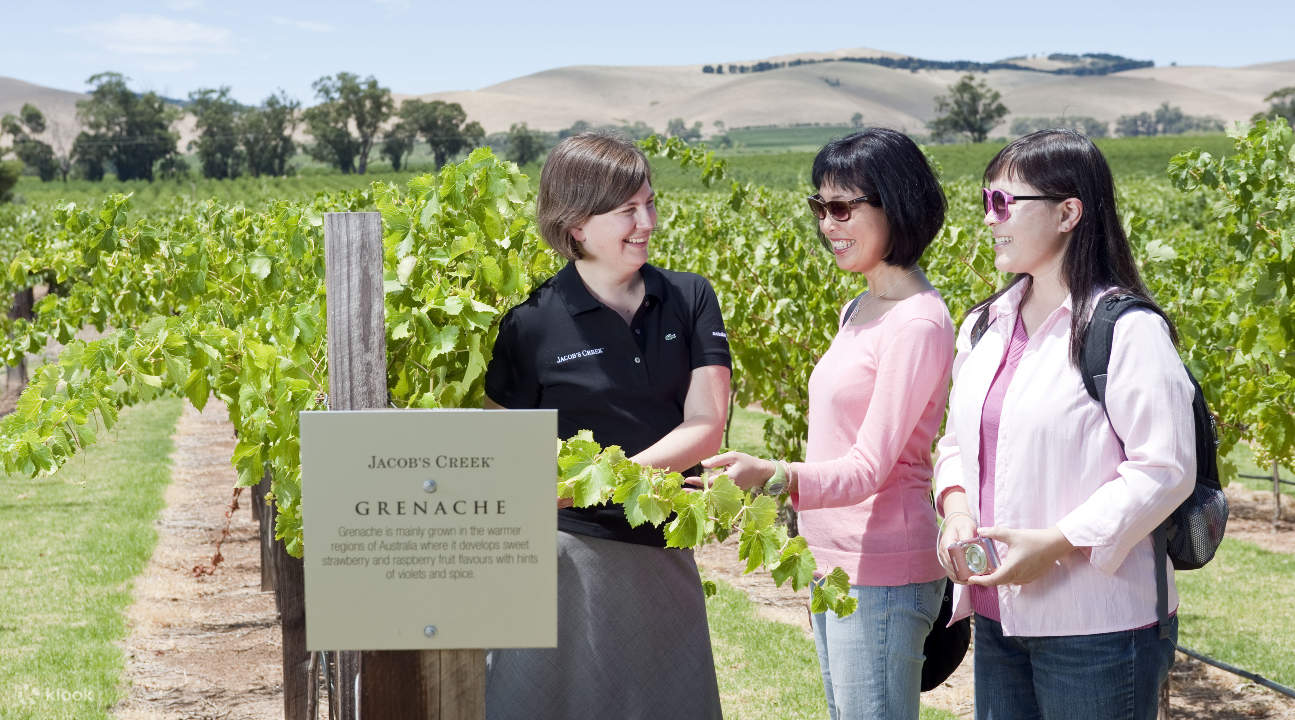 Barossa Valley and Hahndorf Highlights Tour from Adelaide - Klook ...