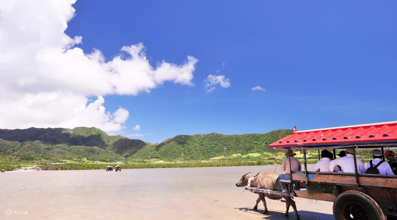 Okinawa Iriomote Island and Yubu Island Day Tour, Japan - Klook Indonesia