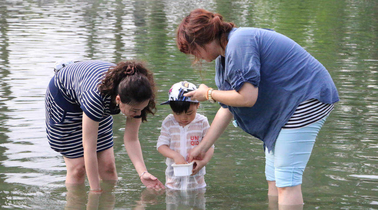 Golden Clam Picking Experience in Hualien - Klook United States