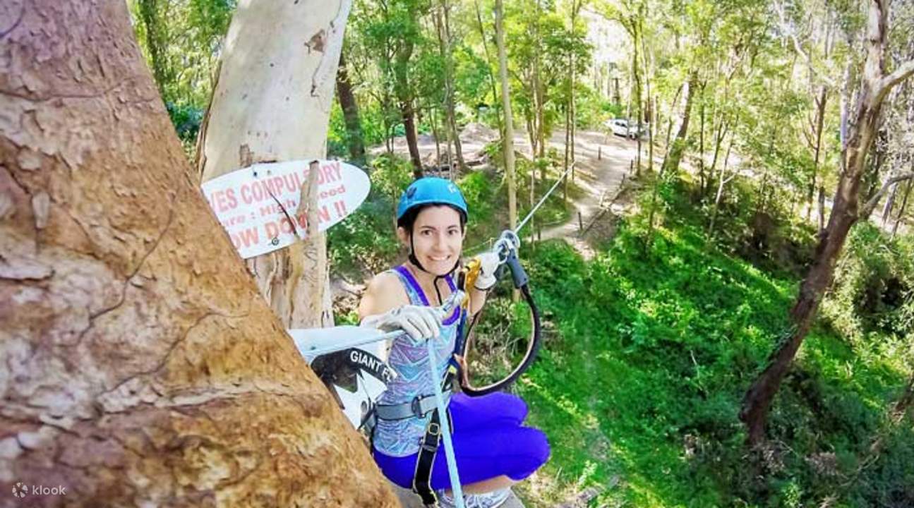 TreeTop Challenge at Tamborine Mountain from Gold Coast - Klook